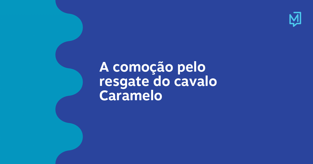 A comoção pelo resgate do cavalo Caramelo – Meio