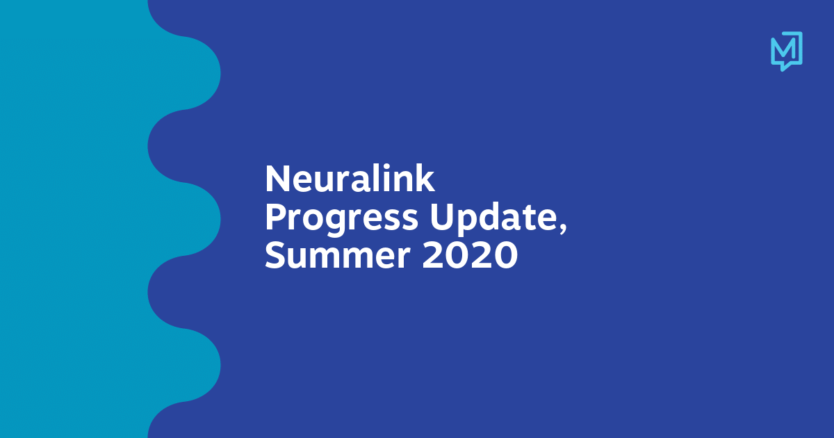 Neuralink Progress Update, Summer 2020 – Meio