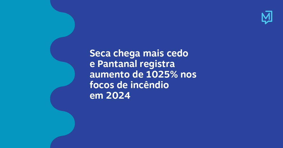 Seca chega mais cedo e Pantanal registra aumento de 1025% nos focos de incêndio em 2024 – Meio